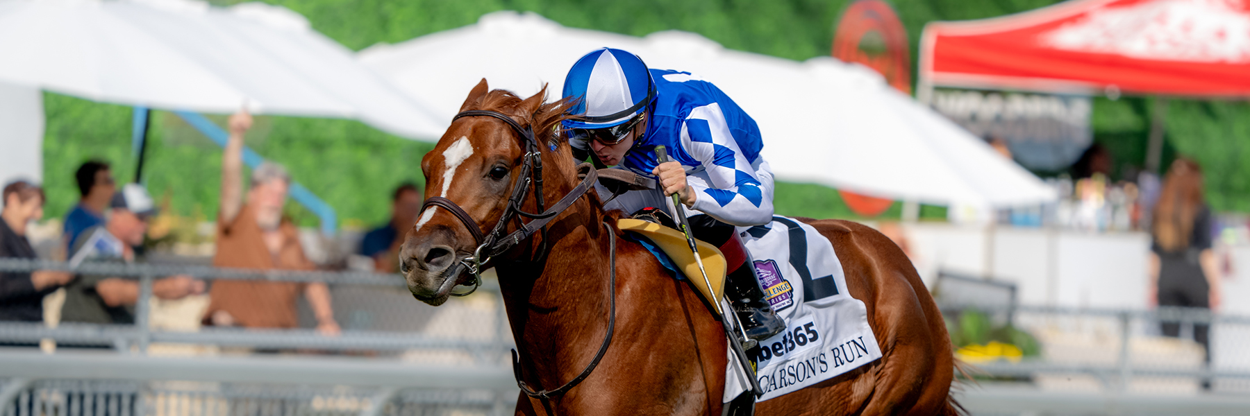 Welcome to Fasig-Tipton | Fasig-Tipton